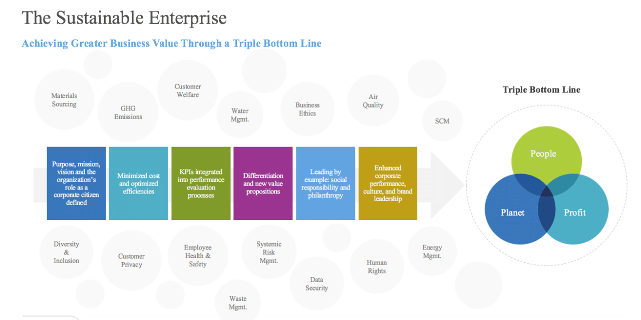 Business sustainability: The importance of ESG to corporate value ...