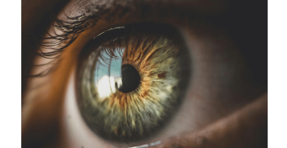 What is sensory marketing? How to practice the art of appealing to all ...