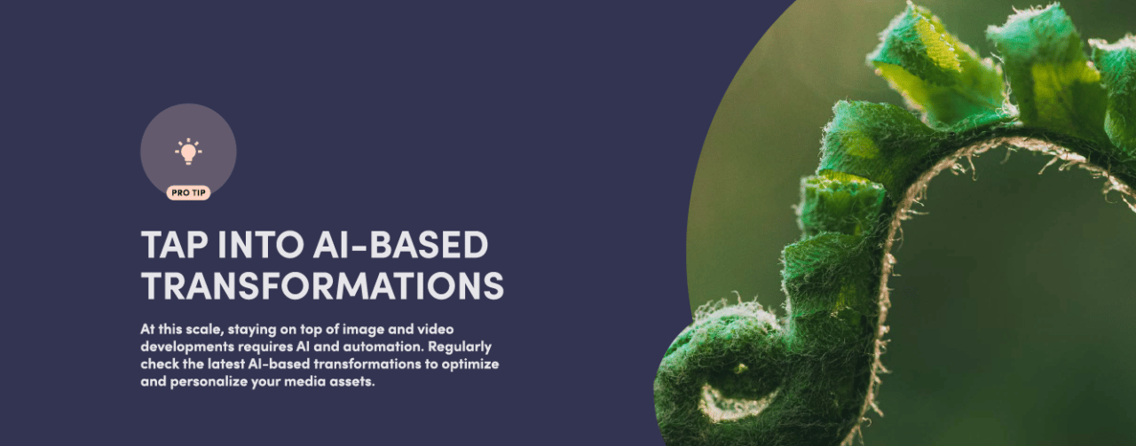 State of visual media: Demand for better online visual experiences ...