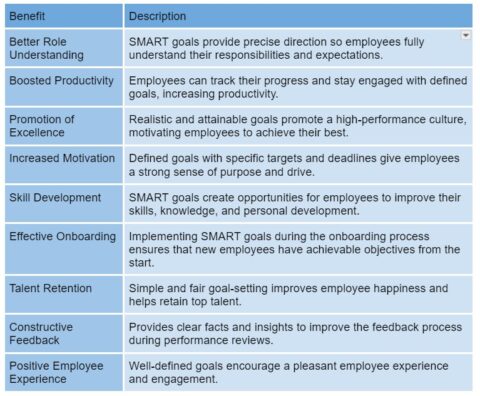 9 examples of SMART performance goals in 2024 - Agility PR Solutions
